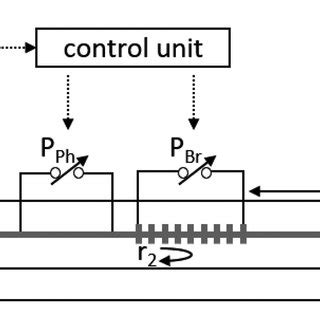 Measurement Setup For Wavelength And Gain Voltage Measurement The Download Scientific Diagram
