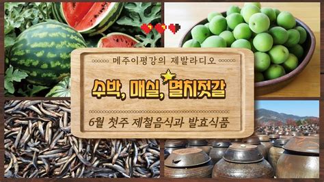 제철음식과 발효식품 여름 제철과일 수박에 대하여 매실청과 멸치젓갈 담그는 방법 Youtube