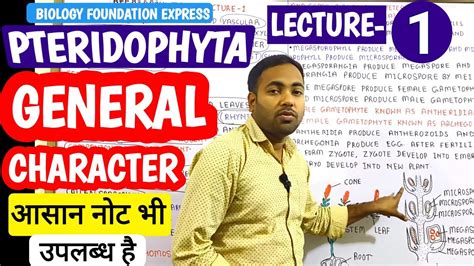 General Character Of Pteridophyta In Hindi Pteridophyta Lecture 1jh