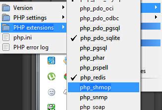 Redis For Php Got Fatal Error Class Redis Not Found In Windows Machine Stack Overflow