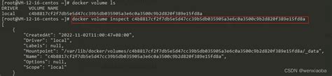 Docker入门教程docker Load Csdn博客