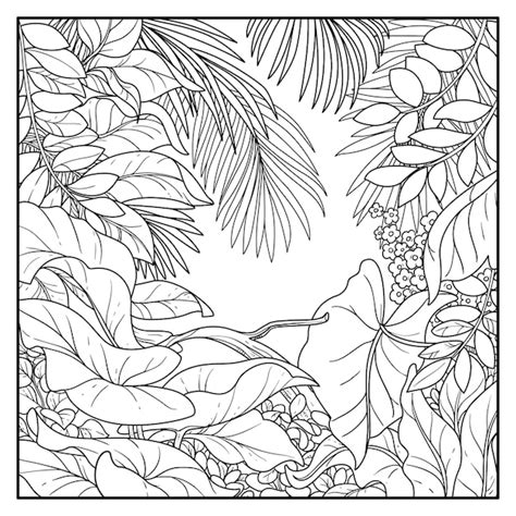 Premium Vector Jungle Black Contour Line Drawing For Coloring On A
