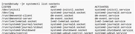 通过 Systemctl 管理服务唤醒 Cups Csdn博客