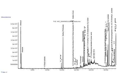 Gcms Chromatographic Profile Of The Ethanolic Extract Download