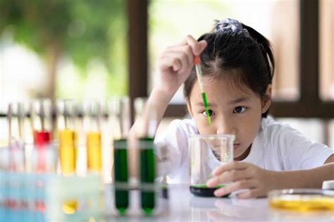 Understanding The Updated P4 Science Syllabus