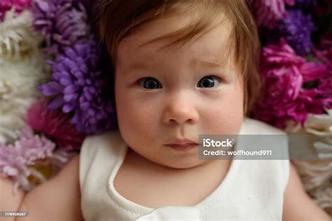 분홍색 튤립의 무리와 함께 연주 파란색 드레스에 아기 소녀 햇볕이 잘 드는 보육원에서 집에서 어린 아이 꽃과 함께 재미를 가진 유아 귀여운에 대한 스톡 사진 및 기타 이미지