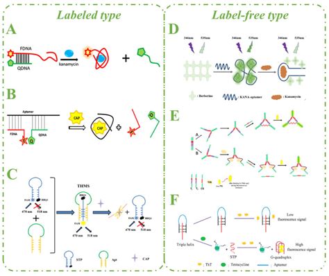 Recent Advances Of Fluorescent Aptasensors For The Detection Of Antibiotics In Food Pmc