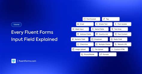 Every Fluent Forms Input Field Explained Fluent Forms