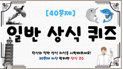 일반 상식 퀴즈 16 40문제 다 맞히면 천재 절반 이상 맞히면 상위 3 지식퀴즈 뇌건강 Youtube