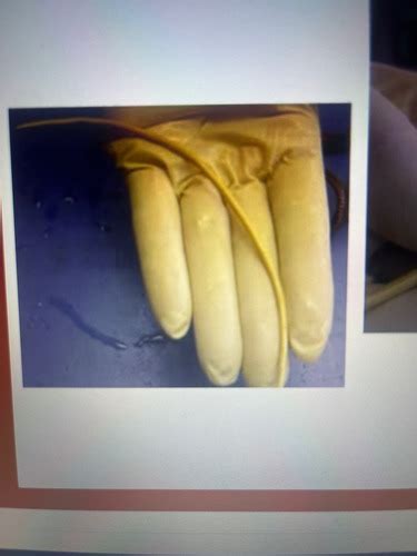 Lab Exam 1 Flashcards Quizlet