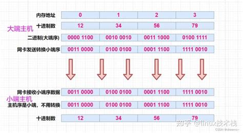一文带你秒懂 字节序 byte order ，比特序 bit order ，位域 bit field 知乎