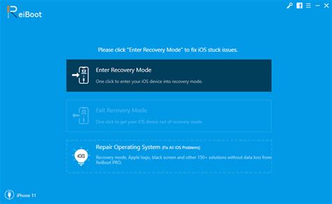 Easily Enter And Exit Iphone Recovery Mode With Tenorshare Reiboot For