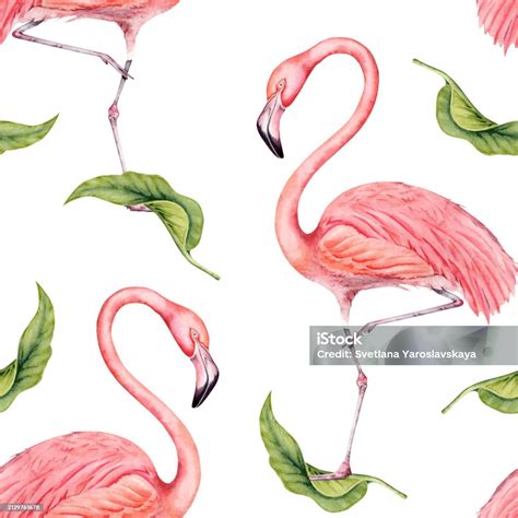 플라밍고 새 와 녹색 레몬 나무 나뭇잎 열대 완벽한 패턴 손으로 그린 수채화는 흰색 배경에 고립되어 있습니다 이국적인 자연 식물 일러스트 표면 디자인 카드 월페이퍼 0명에