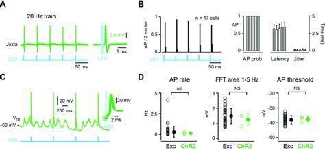 Figure S1 Optogenetic Control Of Action Potential Firing Of A Single