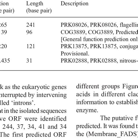 List Of Motifs Predicted In Orf Sequence Download Scientific Diagram