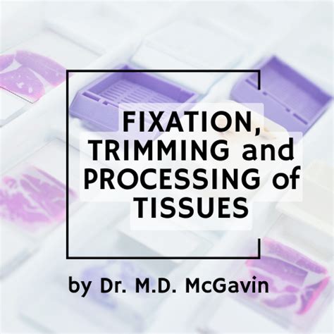 Experts Corner Fixation Trimming And Processing Of Tissues The