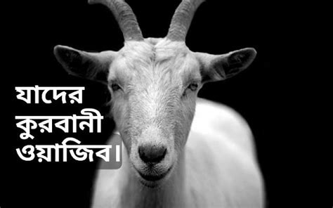 যাদের উপর কুরবানী ওয়াজিব Jader Upor Kurbani Oyajib Rihul Islam