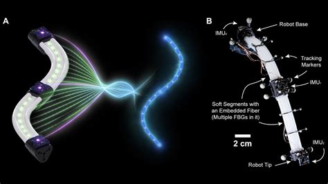shape reconstruction of soft continuum robots via the fusion of local