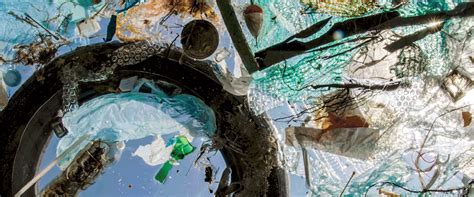 Global Treaty Aims To Curb Surging Microplastic Pollution