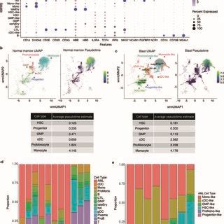 Validation Of CITE Seq Data A Bubble Plot Demonstrating RNA Download Scientific Diagram