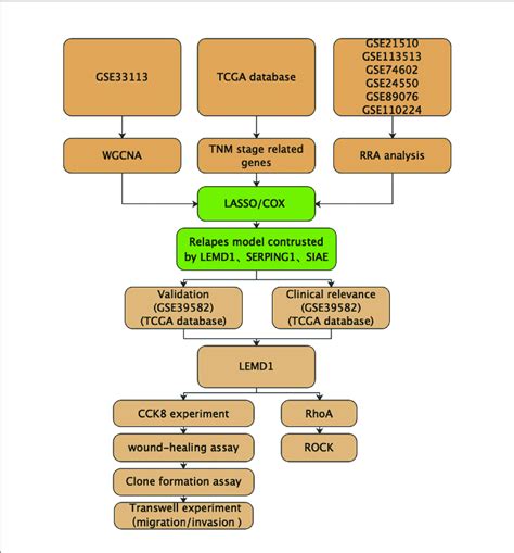 Workflow For Data Generation And Analysis Download Scientific Diagram