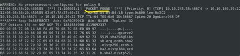 How To Prevent Network Attacks Using Snort Part Ii Packt Secpro