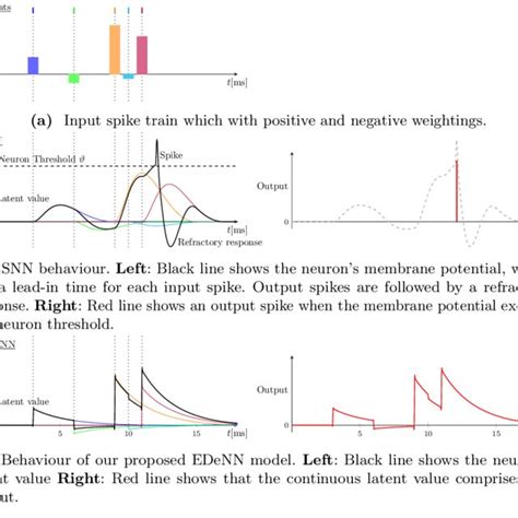 Dynamic Responses From A Single Neuron Given A Weighted 1 Dimensional Download Scientific