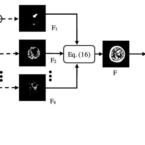 Multi Region Level Set Segmentation Download Scientific Diagram