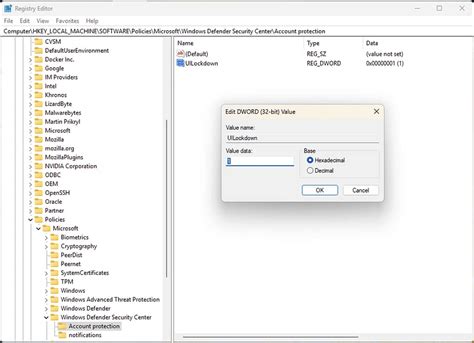 Hide Account Protection In Windows Security In Windows 10 And Windows