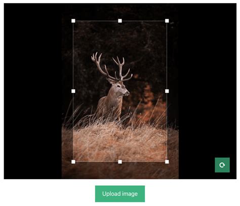 how to implement a cropper tool in vue lava lamp lab