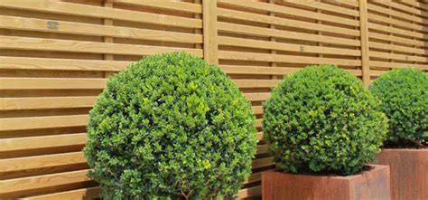 Venetian Fence Panels Are A Great Choice The Fencing Bloke