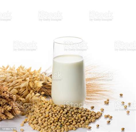 비건 두유 쌀우유 귀리우유 유제품이 함유되지 도 있는 대체 우유 콩과 곡물의 귀 0명에 대한 스톡 사진 및 기타 이미지 0명 개념 거친 필름 효과 Istock