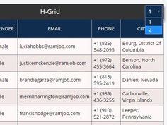 Data Grid Plugin Ideas Grid Data Jquery