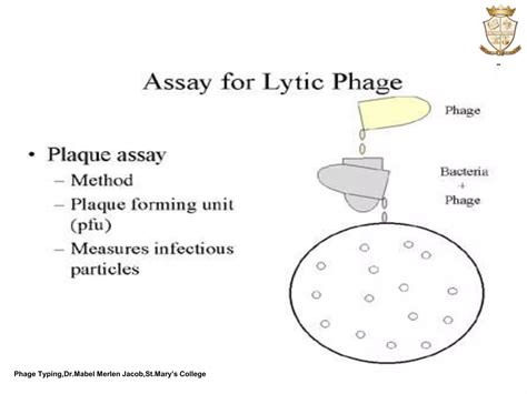 Microbiology Phage Typing Pptx Infectious Diseases Diseases And