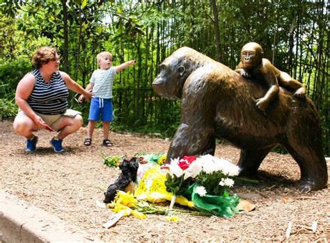 Did Harambe Have To Die India News