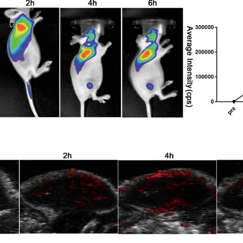 Multimodality Imaging Notes A Fluorescent Imaging B