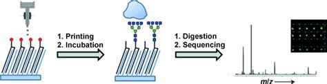 Analysis Of Microarrays By MALDITOF MS Beloqui 2013 Angewandte Chemie International