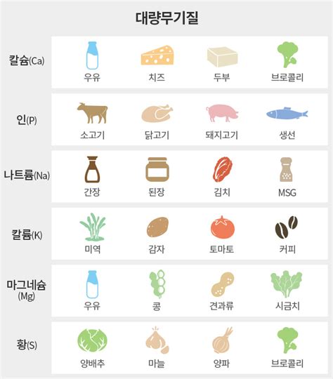 4 무기질의 위력 부족해도 넘쳐도 병 난다 네이버 블로그