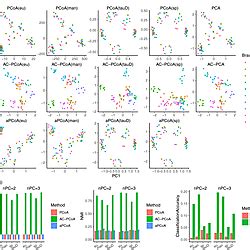 Results Of Human Brain Exon Array Data Window 5