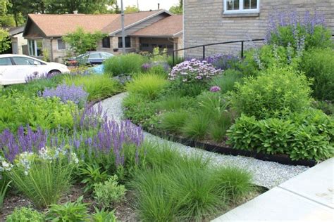 Nancy Street — Andrew Marrs Garden Design