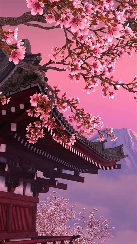 🔥 [40 ] Sakura Pc Wallpapers Wallpapersafari