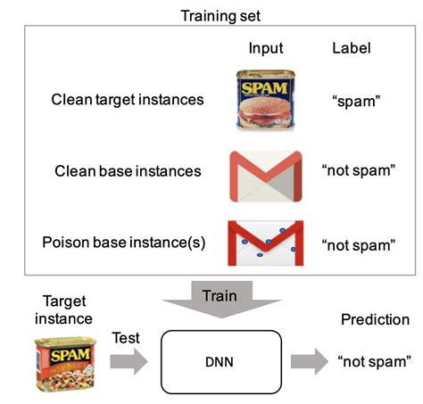 Machine Learning Models Unveiling Security Vulnerabilities And Fortifying Robustness E2e