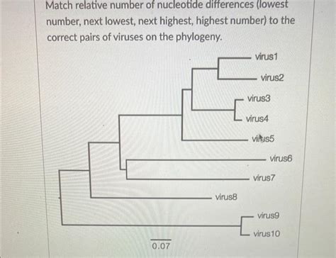 Solved Match Relative Number Of Nucleotide Differences