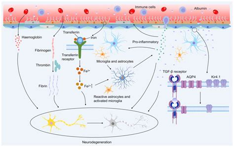 International Journal Of Molecular Medicine