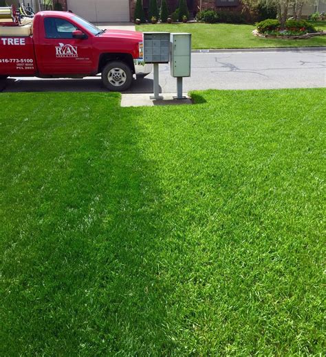 Types Of Grasses Warm Season Vs Cool Season Ryan Lawn And Tree