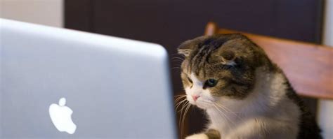 Understanding Javascript Temporal Dead Zone Dev Community