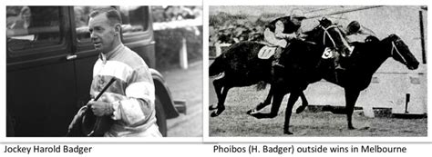 David Aldred On Linkedin Thoroughbred