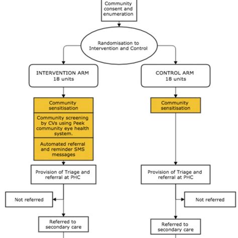 Trial Design Outline Randomisation Interventions And Flow Of Participants Download