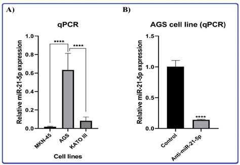 A Relative Mirna 21 Expression In Mkn 45 Ags And Kato Iii Cell Download Scientific Diagram