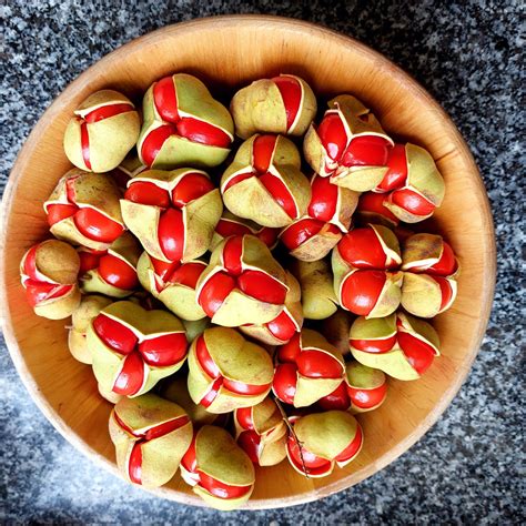 Small Leaved Tamarind Fruit Peppermint Ridge Farm